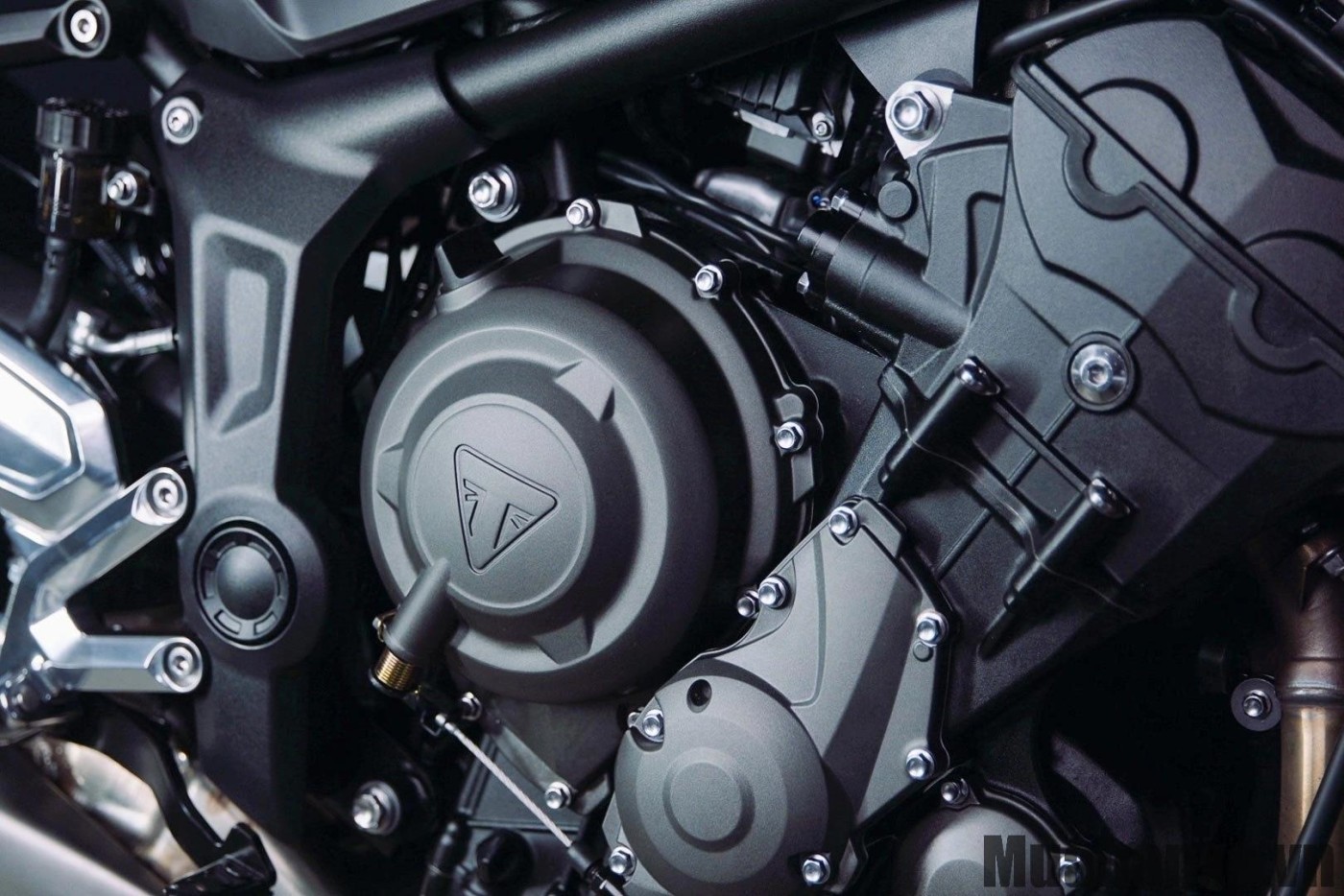 Triumph Trident 660: Thông số, Giá lăn bánh & Khả năng vận hành 03/2026